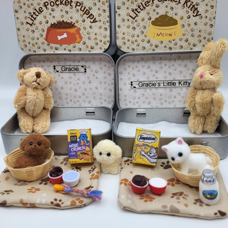 Mini Cats in a Tin - Etsy UK