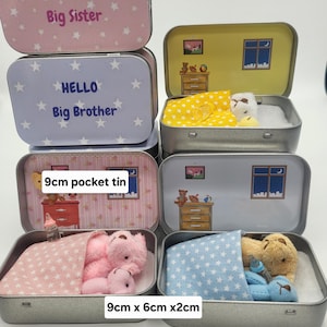 Hello Big Brother or Sister Sibling Gift. Teddy Bear Sibling Reveal ...