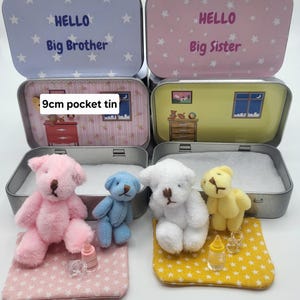 Hello Big Brother or Sister Sibling Gift. Teddy Bear Sibling Reveal ...