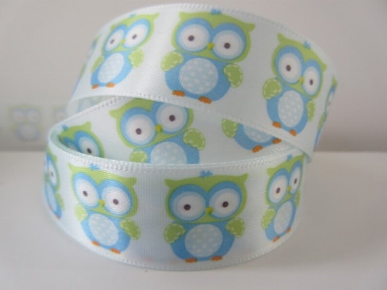 Owl Baby Ribbon 7/8 Inch Wide Blue and White Children - Etsy