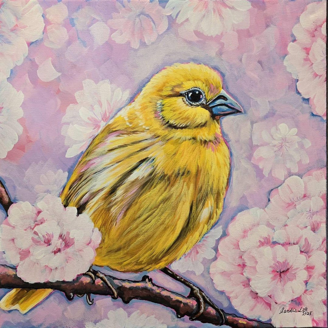 Canary Acrylic Painting on Canvas: Pink Floral Wonderland, 14" - Etsy