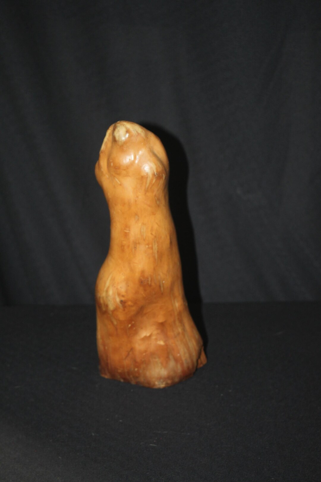 Smaller Cypress Knee Sculpture, Tree Root 11" - Etsy