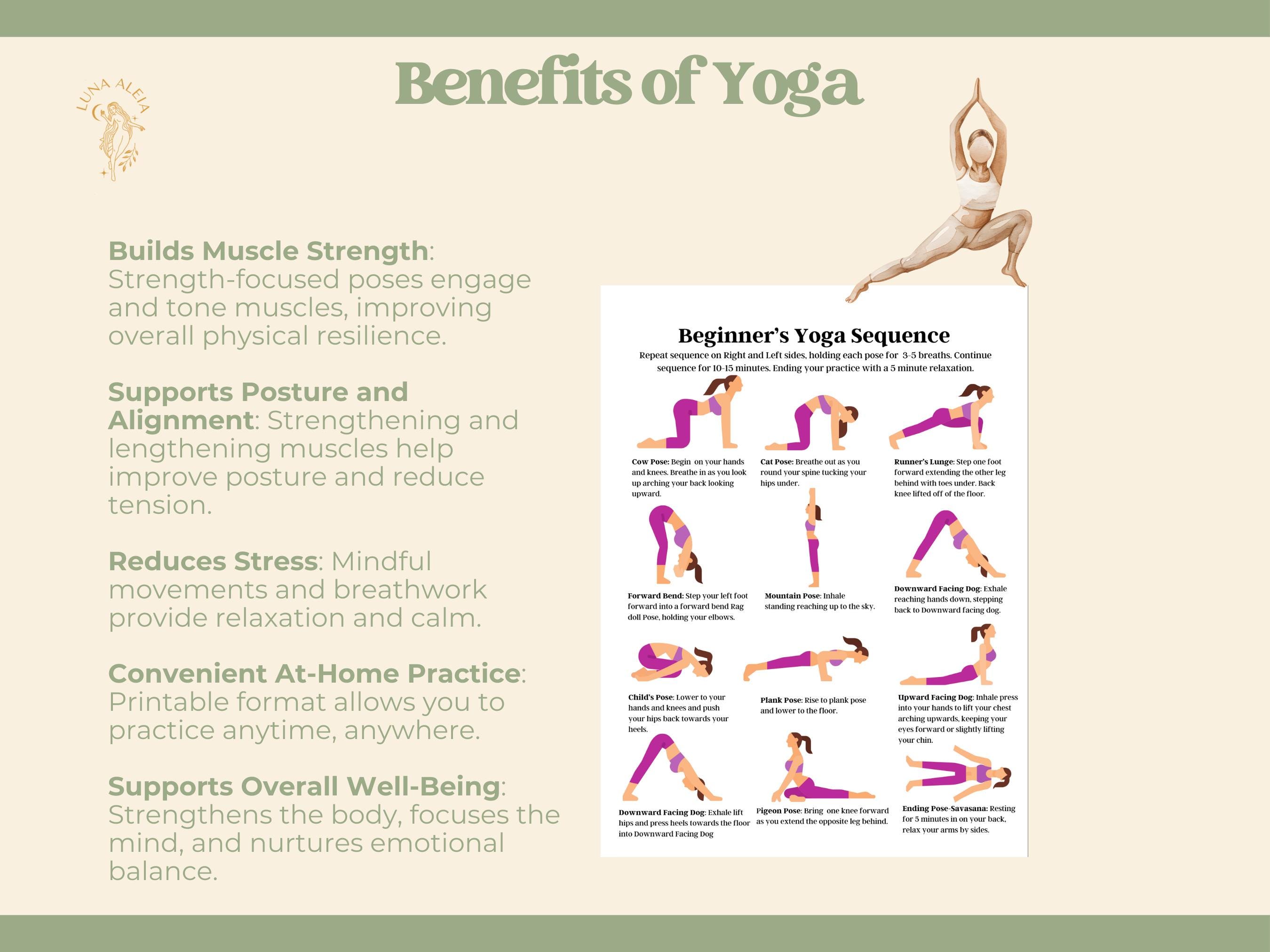 Beginner Mobility Bundle PDF Download, Yoga Mobility Sequences for Busy ...