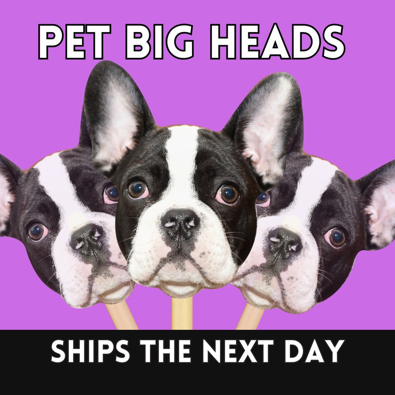 Wedding Props Dog Head - Etsy