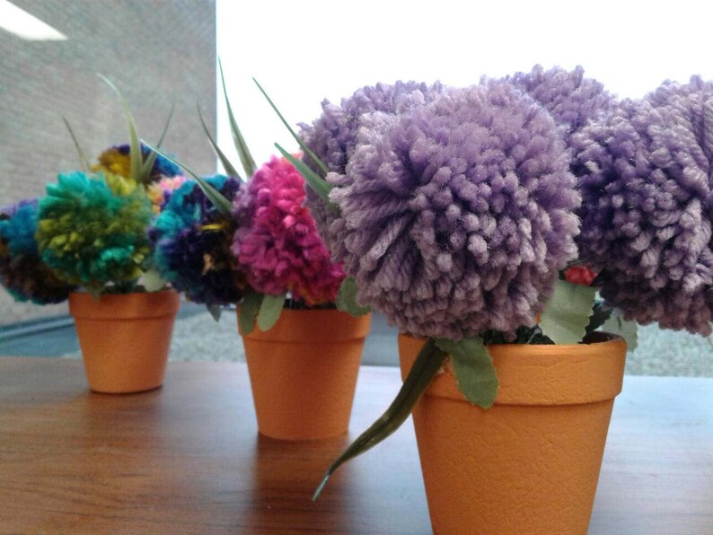 Potted Pompom Plant a handmade treat for your spring and | Etsy