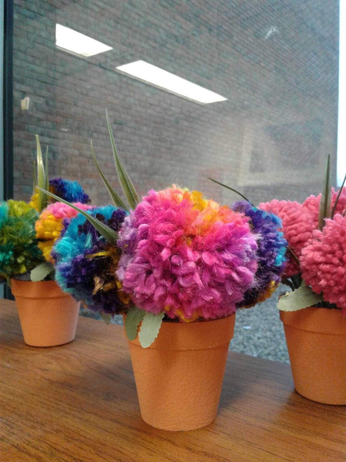 Potted Pompom Plant a handmade treat for your spring and | Etsy