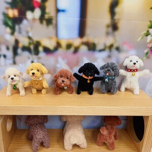 Miniature Toy Poodle With Flexible Head & Legs - Miniature Dog - Poodle ...
