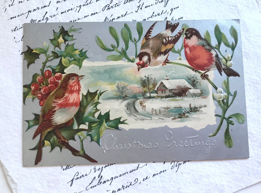 Christmas Postcard, Robin and Bullfinches on Branches, Silver Background, Embossed Holly Leaves ...