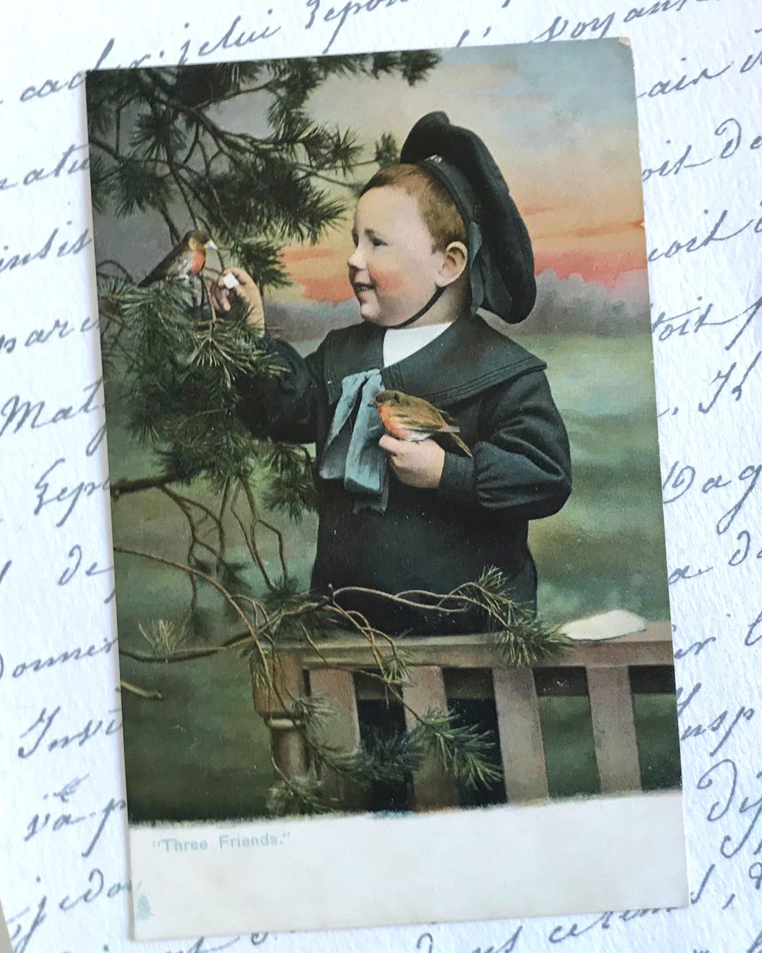 Antique Child Postcard, Little Boy in Sailor Suit, Holding Robin, Hand ...