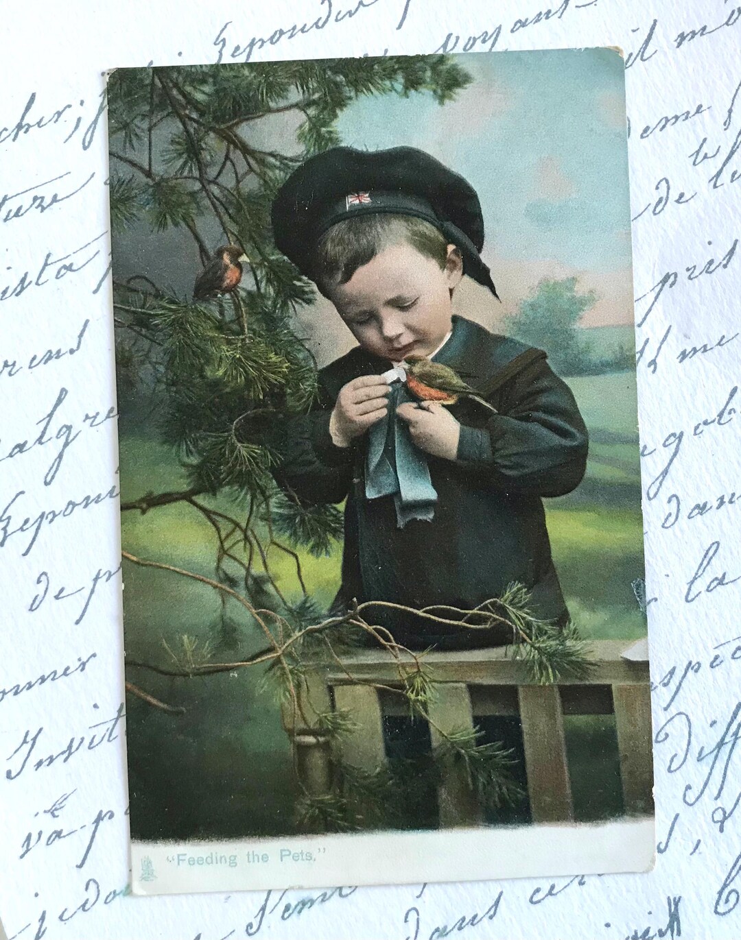 Little Boy in Sailor Suit, Holding Robin, Hand Tinted Real Photograph ...