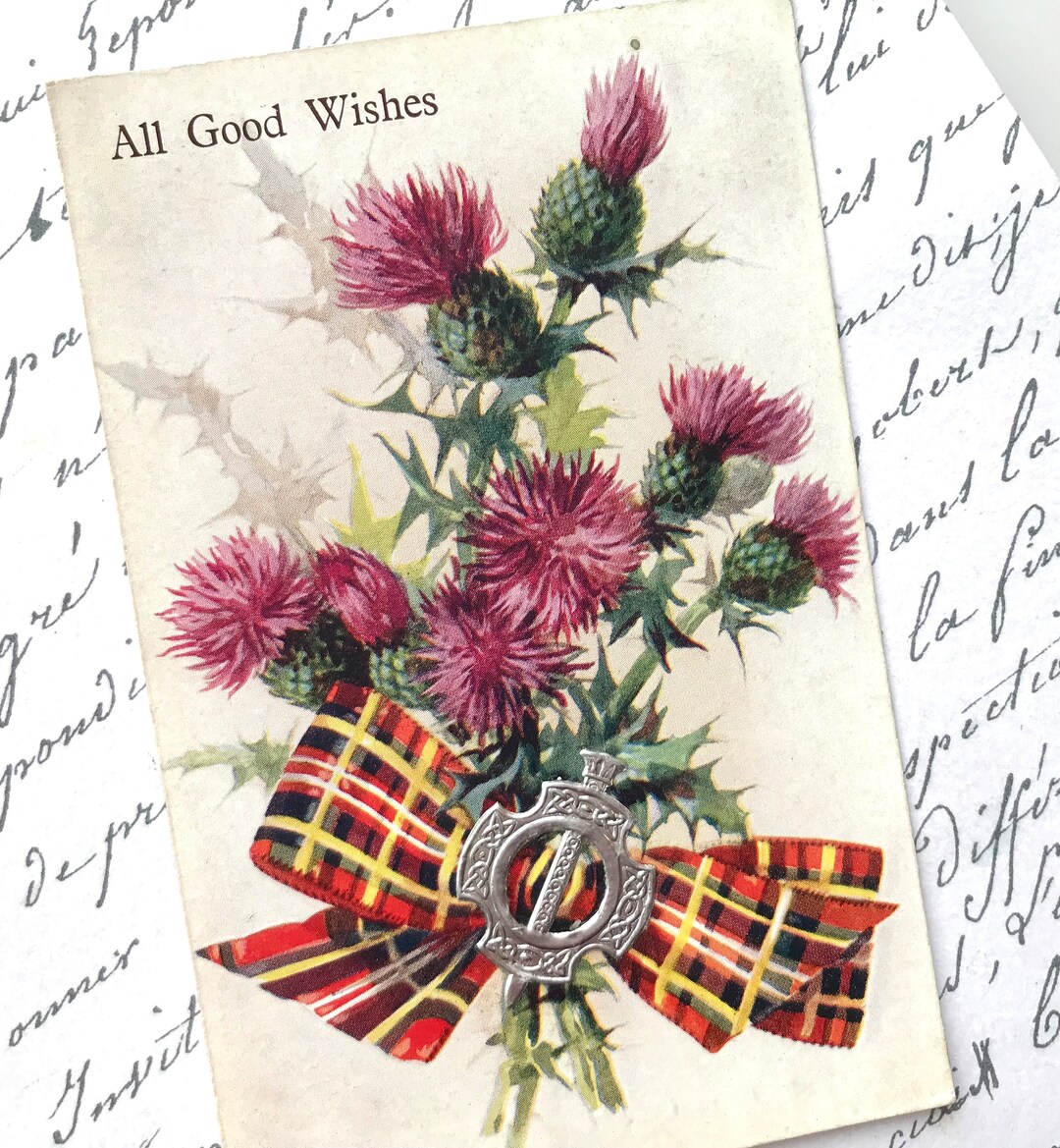 Vintage Postcard, Thistle Painting, Tartan Ribbon, Valentines Series ...