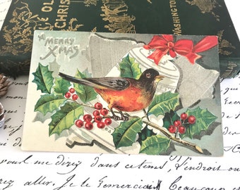 Antique Robin Postcard - Etsy