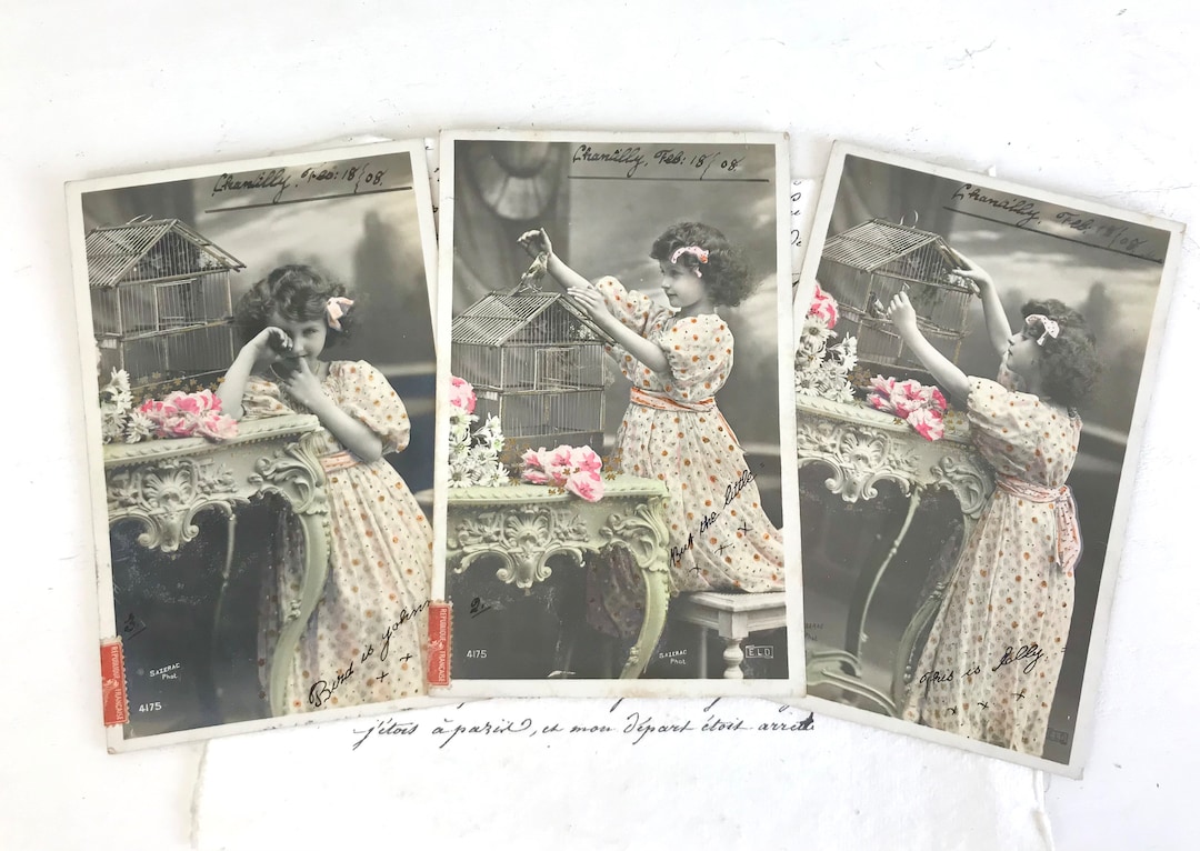 French Antique Postcards Pretty Girl With Bird and Birdcage - Etsy