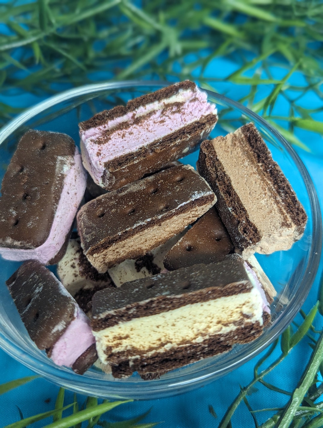 Cosmic Crunch: Freeze-dried Neapolitan Ice Cream Sandwiches - A Blast ...