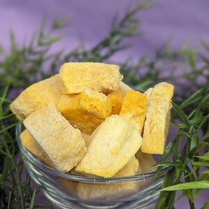 Freeze Dried Butternut Squash - Etsy