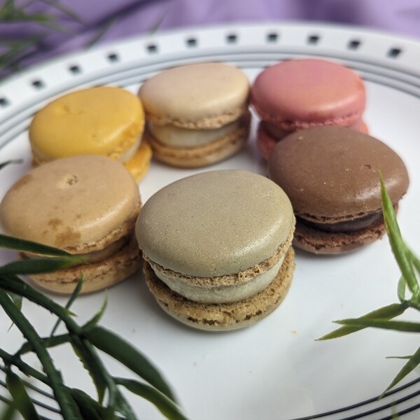 BlackLocustKatahdins - Etsy