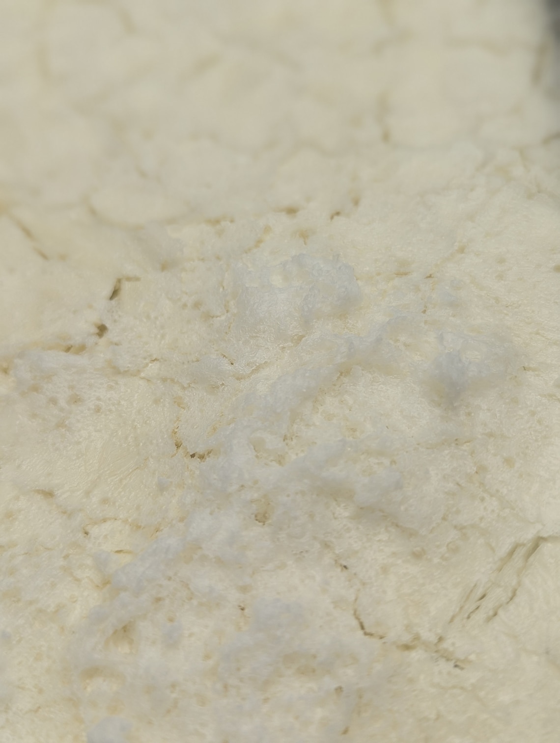 Freeze-dried Raw Heavy Cream: the Sustainable and Convenient Way to ...