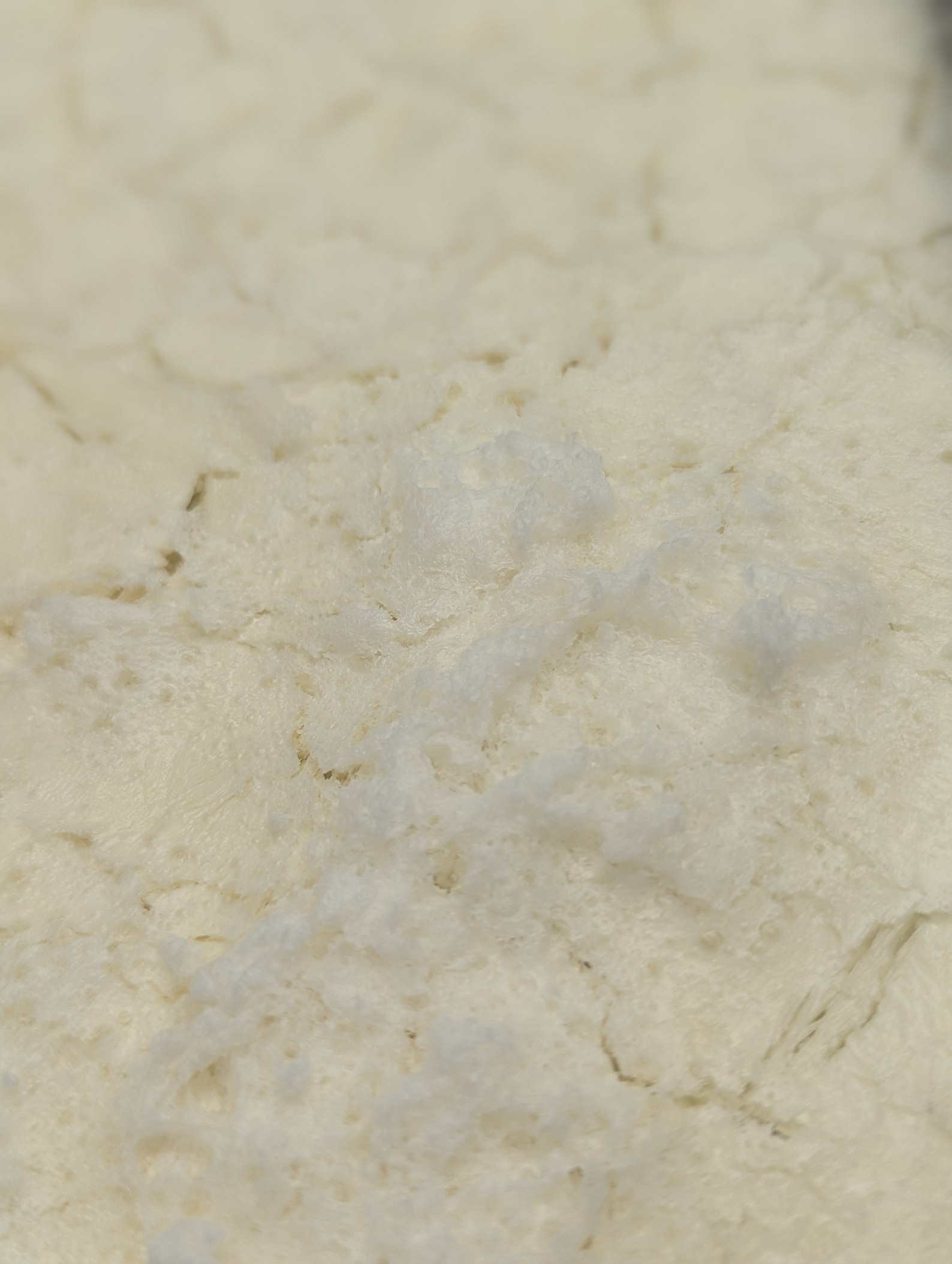 Freeze-dried Raw Heavy Cream: the Sustainable and Convenient Way to ...