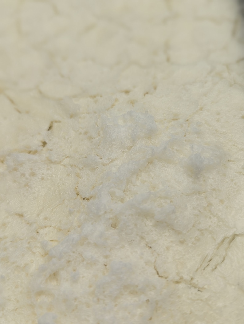 Freeze-dried Raw Heavy Cream: the Sustainable and Convenient Way to ...