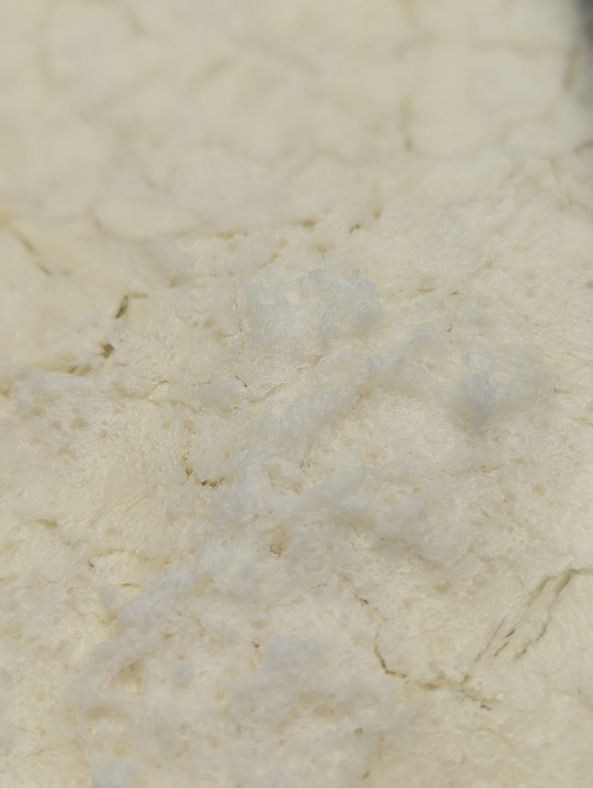 Freeze-dried Raw Heavy Cream: the Sustainable and Convenient Way to ...