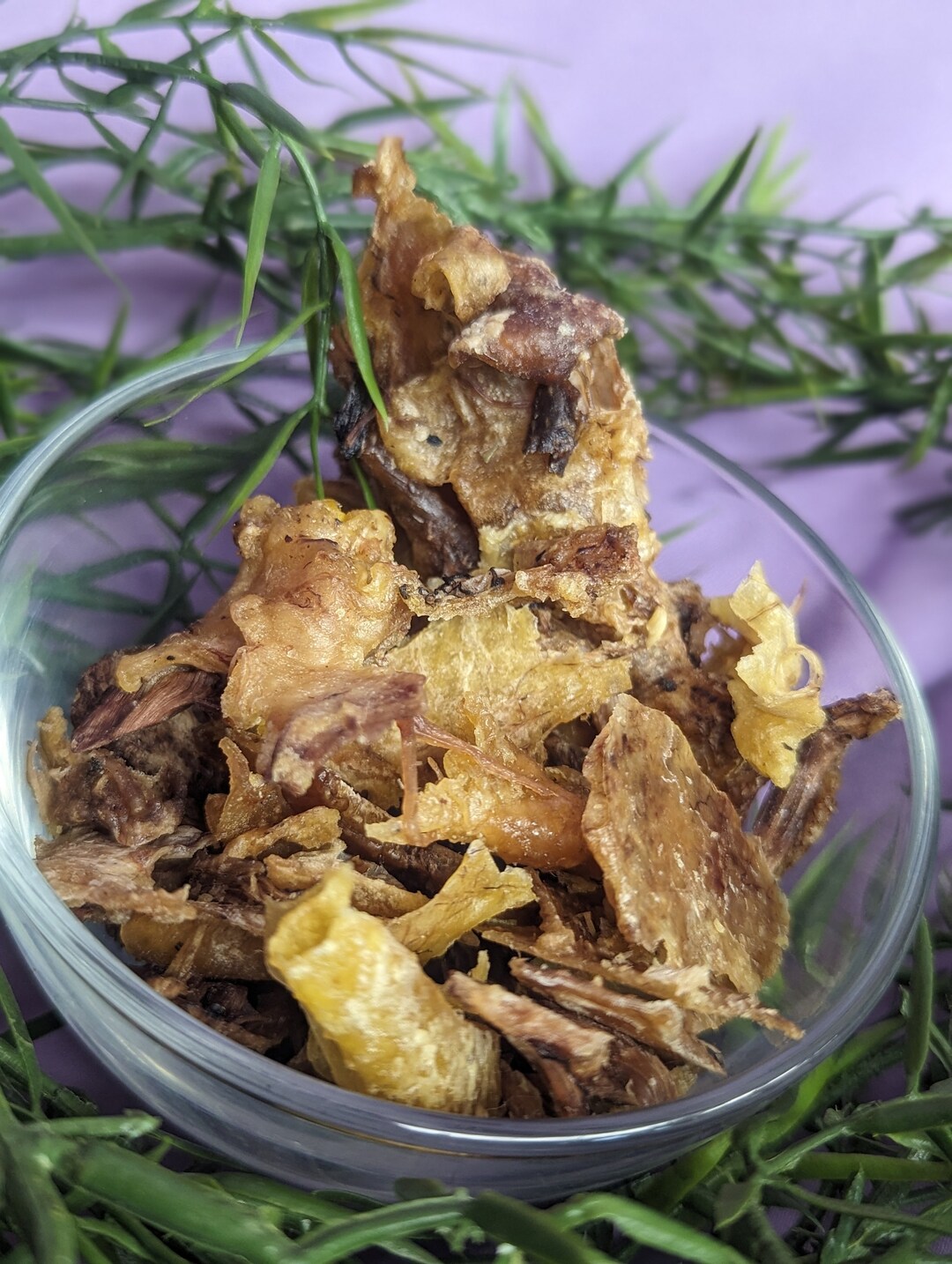 Freeze Dried Chicken Skin Dog Treats: the Crunchy and All Natural Treat ...