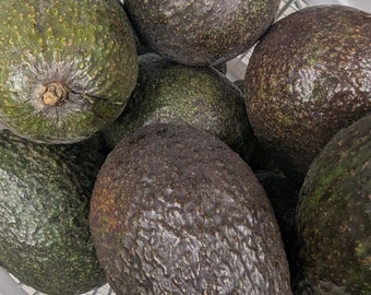 Freeze Dried Avocado Slices Without Additives, Preservatives or Added ...