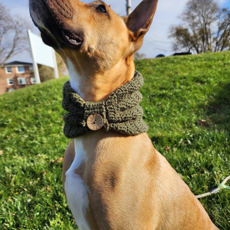 Crochet Dog Scarf - Etsy
