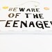 Beware Teenagers Bedroom Door Sign Wall Plaque Home Decor Funny Kids ...