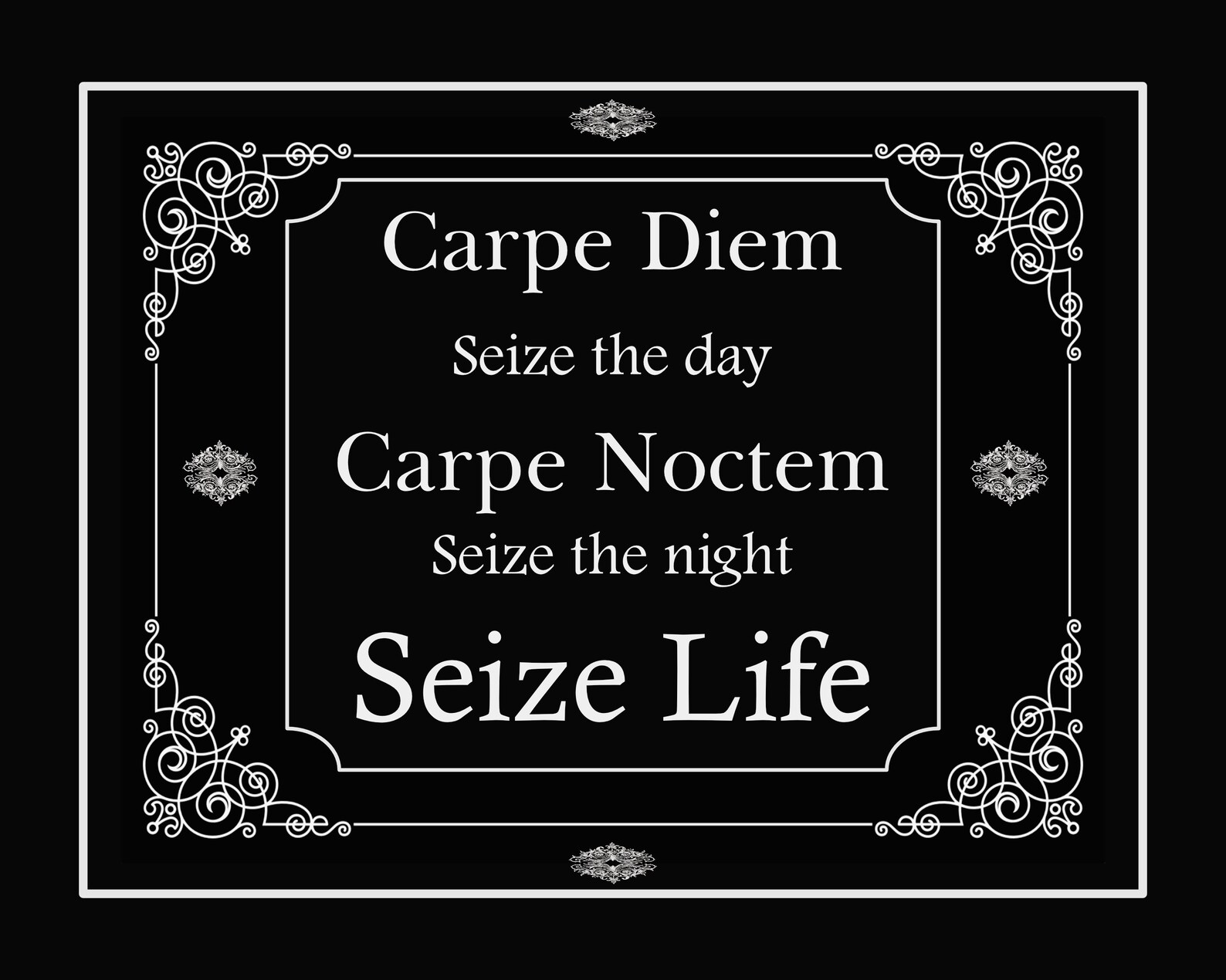 Carpe Diem Seize the Day **seize Life 8 X 10 Digital Download - Etsy