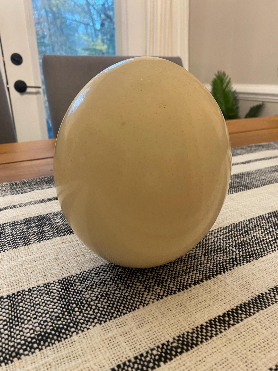 Beautiful Ostrich Egg Shell Blank and Blown Out for Crafts, Painting or ...