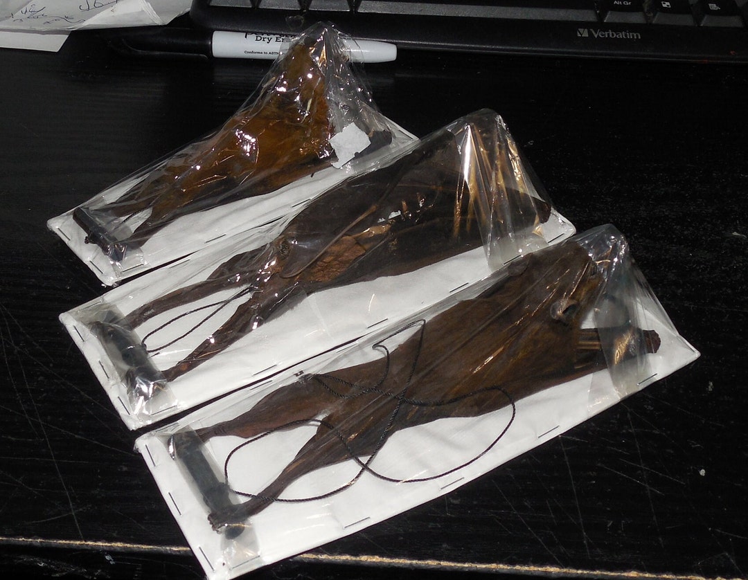 3 Different Species HANGING Bats Real Taxidermy Fast Ship 1 - Etsy