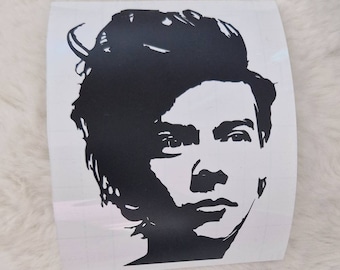 Harry Styles Car Decal - Etsy UK