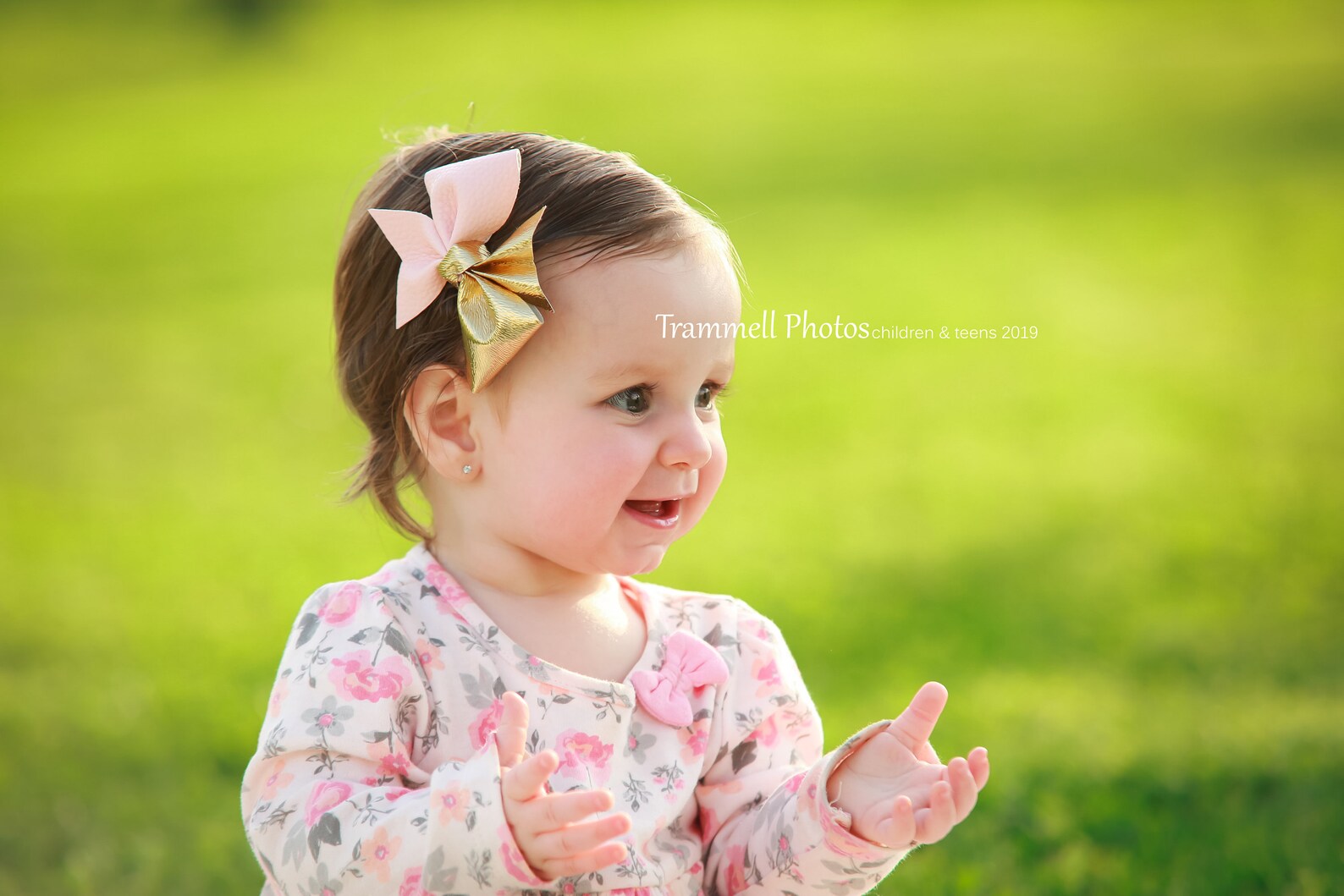 Hazel Bow Cut File SVG Bow Cut File Dxf Template - Etsy