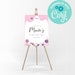 EDITABLE INSTANT DOWNLOAD Pink Ghost Birthday Party Signs - Etsy