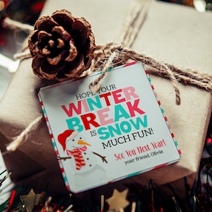 EDITABLE, INSTANT DOWNLOAD Hope Your Winter Break is Snow Much Fun ...