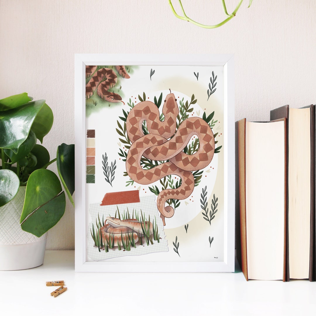 Adder Snake Limited Edition Art Print Large A3 Unframed Wall - Etsy
