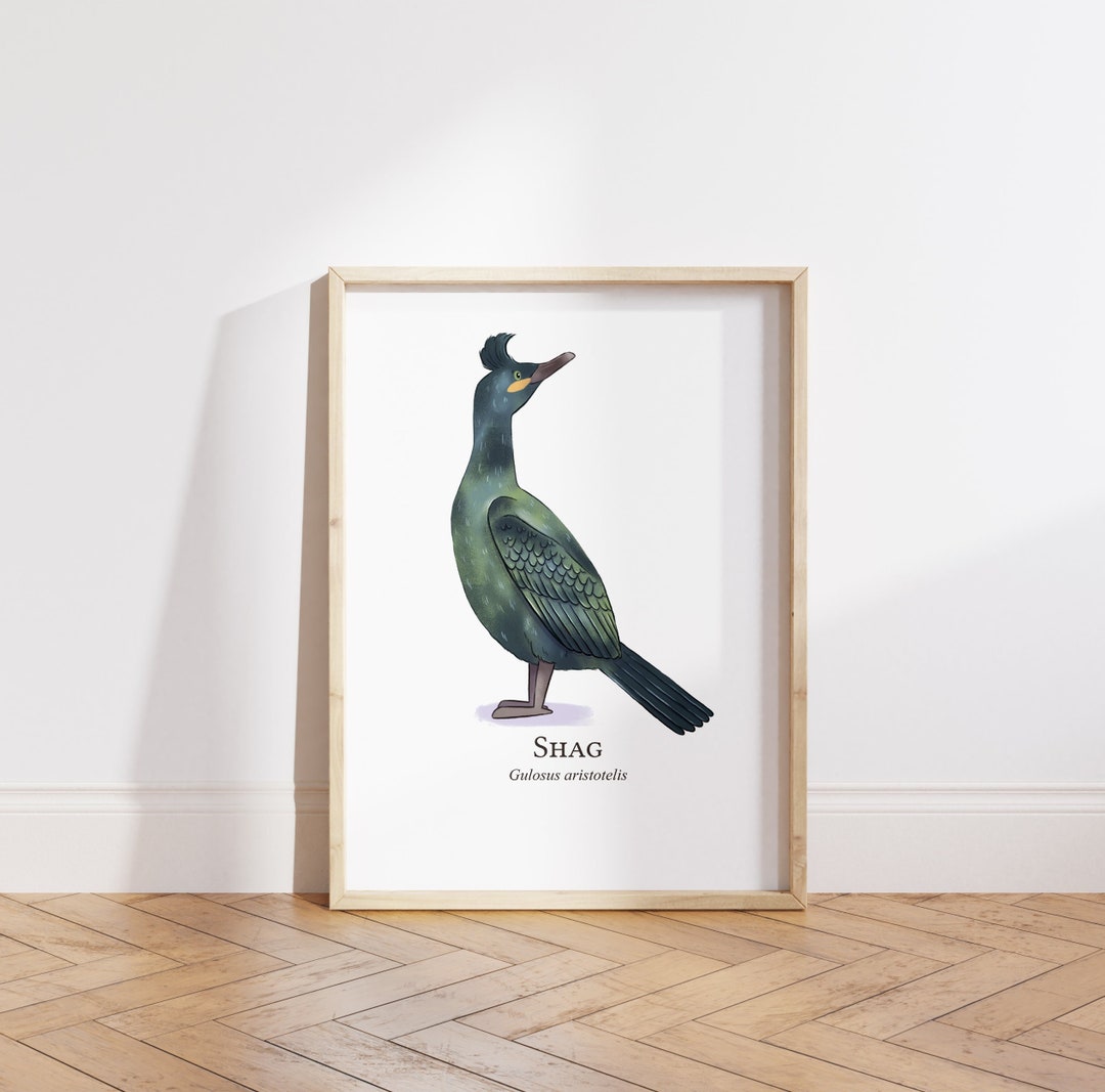 Shag Art Print - Digitally Illustrated Medium A4 Size Unframed Wall Art ...