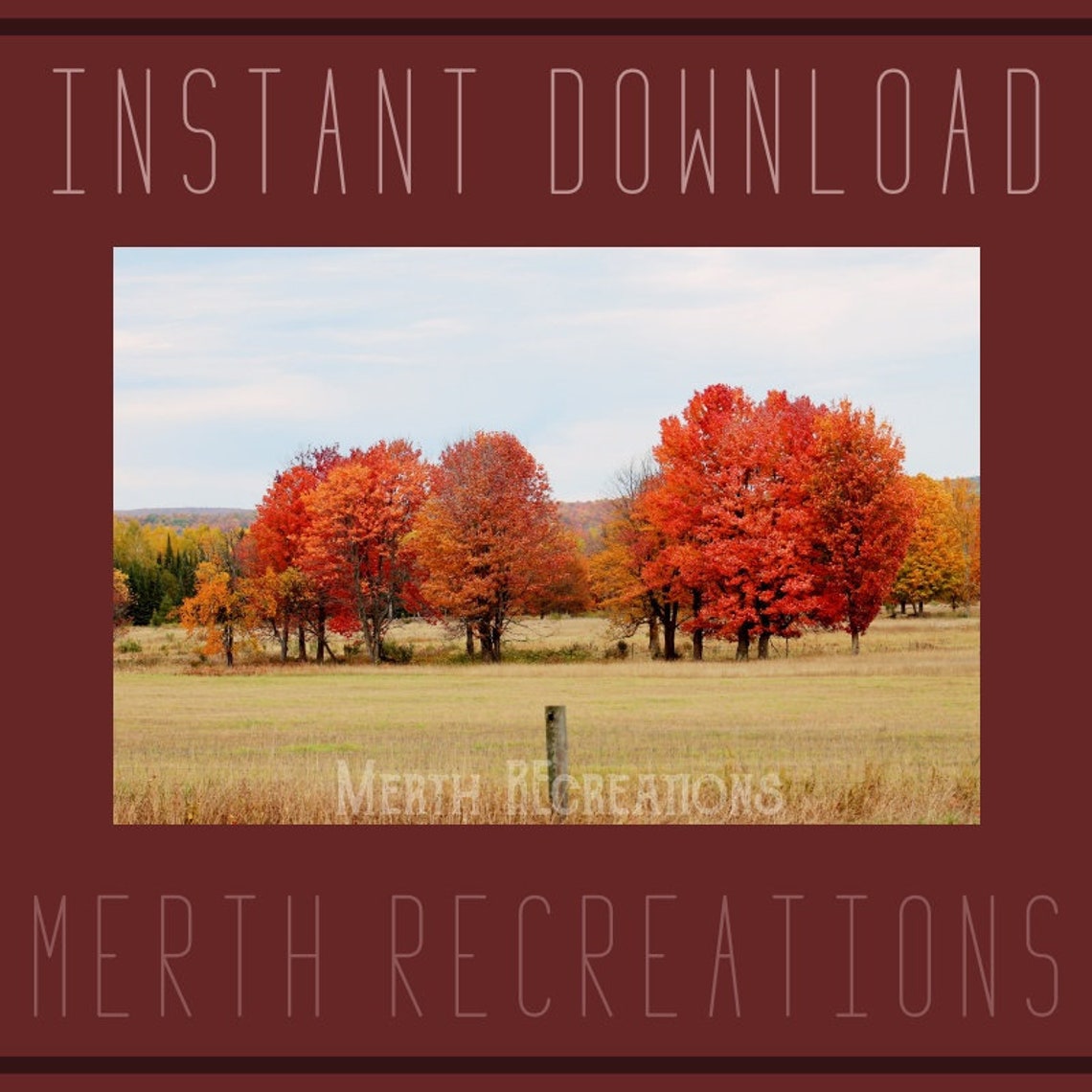 Michigan Trees in Fall Original Photo Wall Art Digital - Etsy