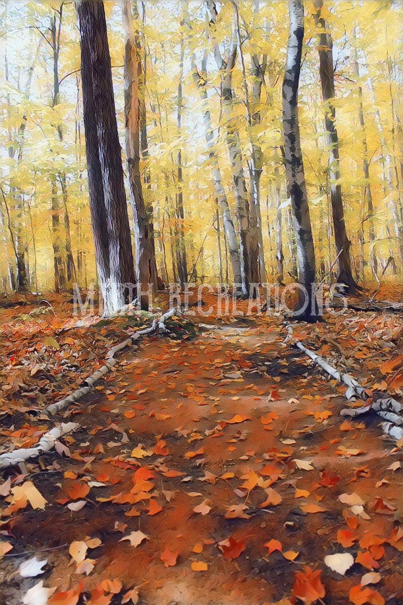 Path in the Woods Art Print, Original Photography, Wall Art, Nature ...