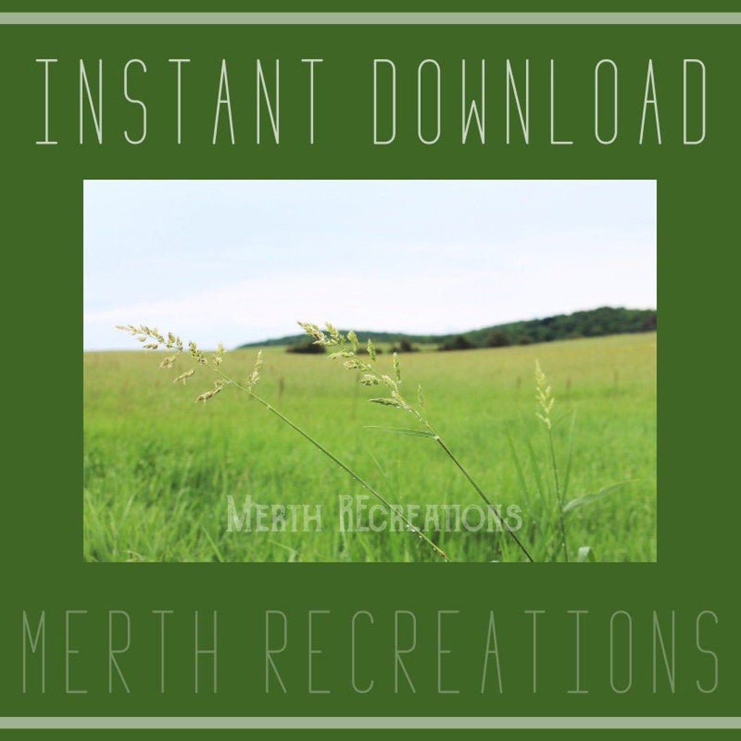 Michigan Field With Morning Dew Original Photo, Wall Art, Digital ...