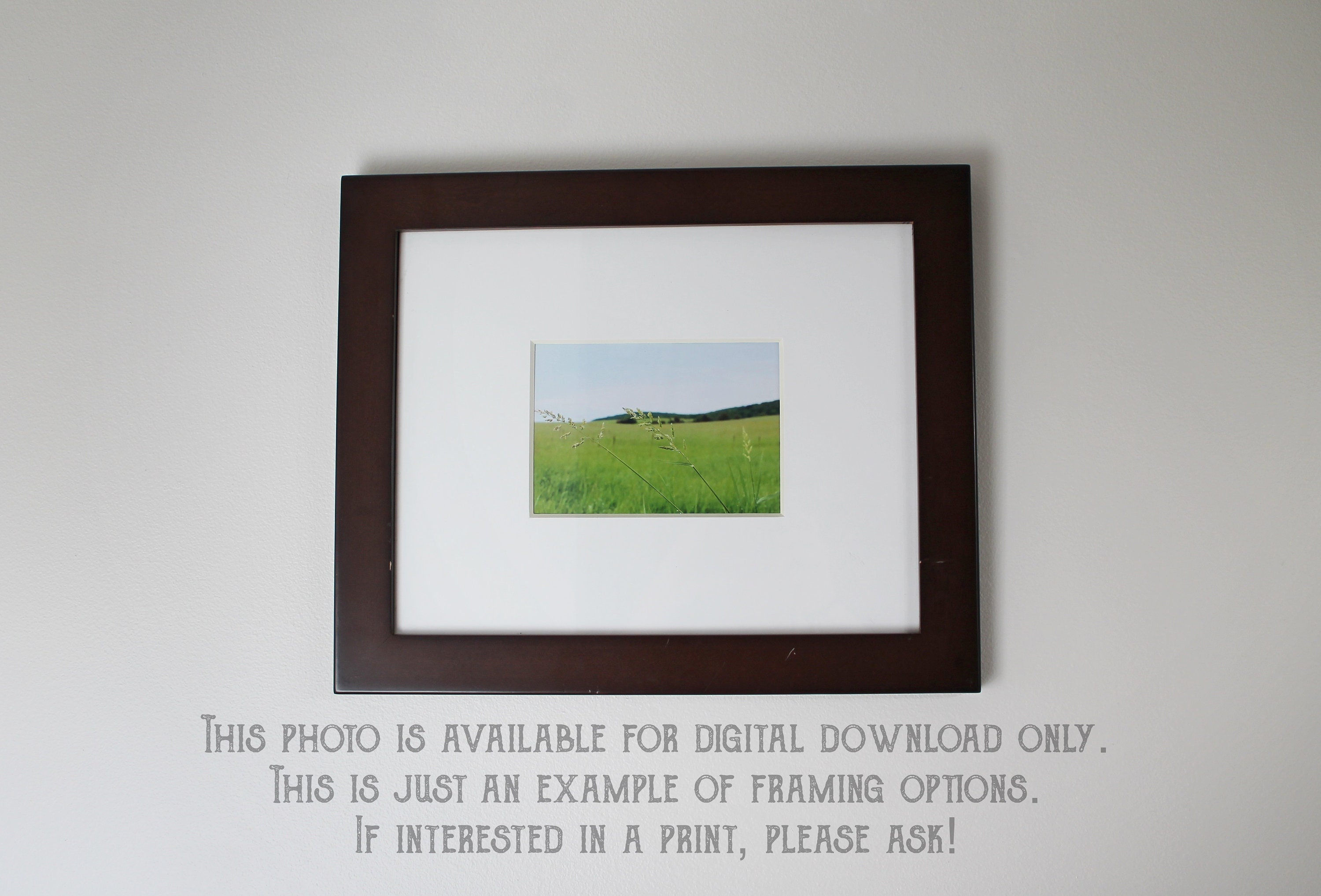 Michigan Field With Morning Dew Original Photo, Wall Art, Digital ...