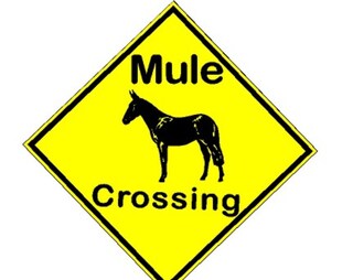 TheFoothillsGraphics - Etsy