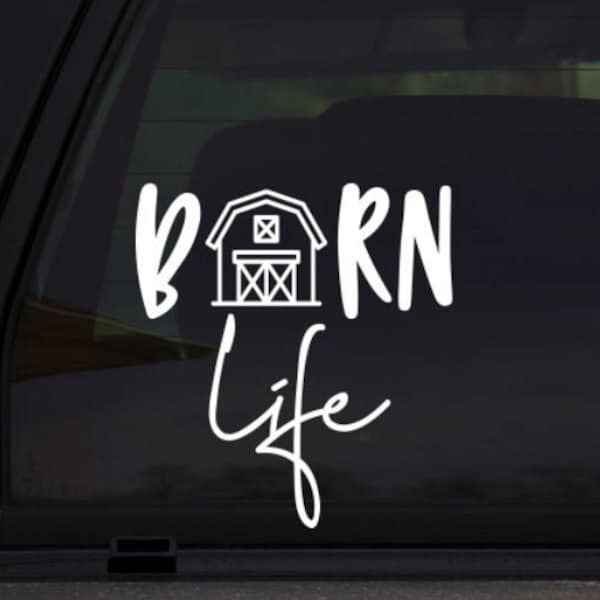 Horse Life Decal - Etsy