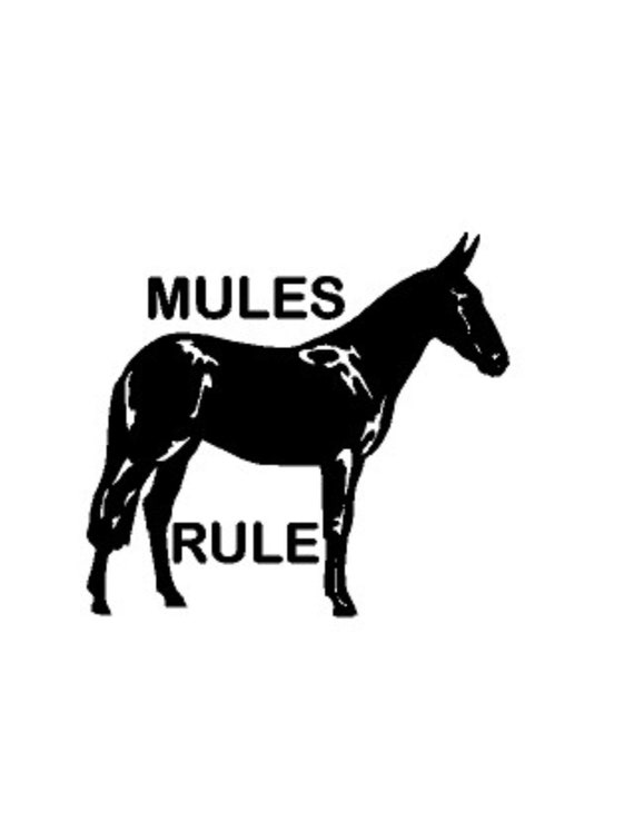 Mules Rules Decal // Car Window Sticker // Country Decal | Etsy