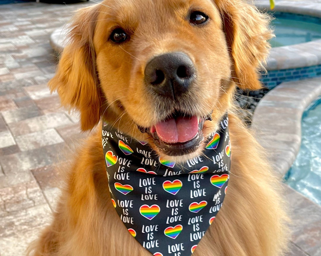 Gay Pride Dog Bandana for Pet Collar, LGBT Pet Bandana, Reversible ...