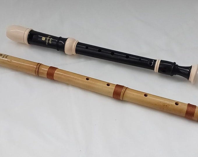 Morning Glory Recorder German Style and Traditional Bamboo Danso Set - Etsy