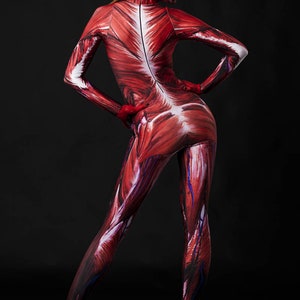 MUSCLES Halloween Costume Halloween Superhero Catsuit | Etsy Canada