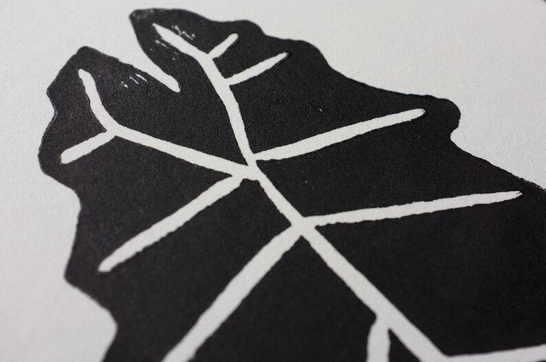 Elephant Ear Print - Etsy