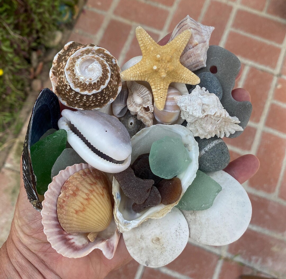 A Large Scoop From the Beach - Sea Glass, Shells, Wishing Stone, Heart ...