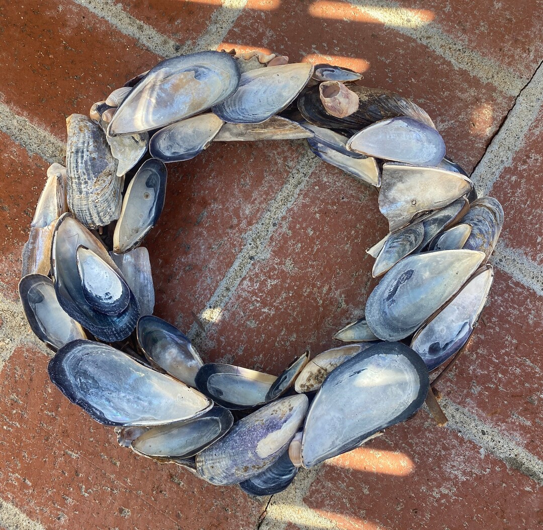 Mussel Shell Wreath, Small Shells Added in the Nook and Crannys - Very ...